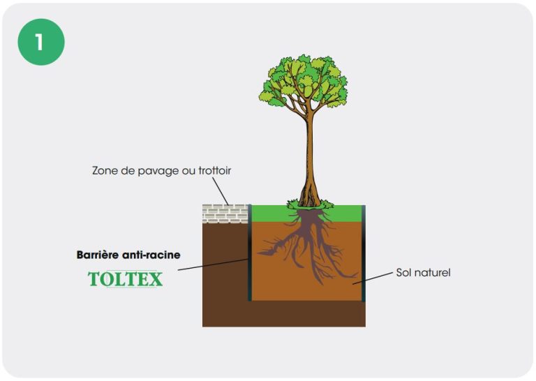 Barriere Anti-Racine | Toltex