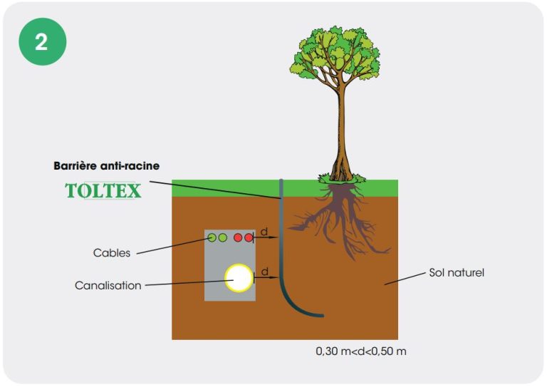 Barriere Anti-Racine | Toltex